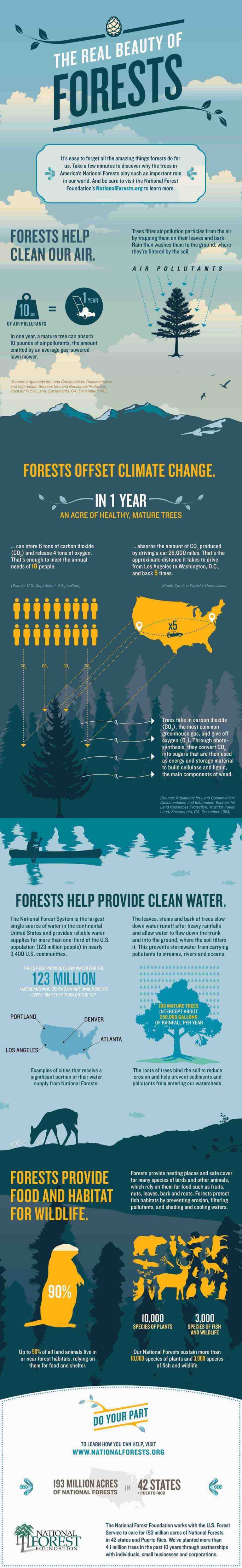 Forest Rangers, Park Rangers & Game Wardens | Frontline