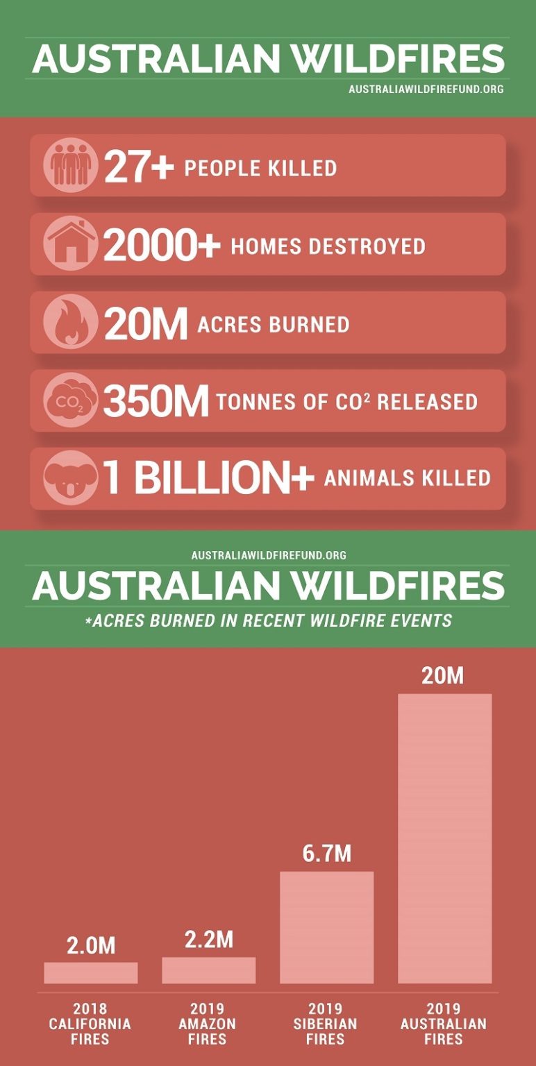 How Do Wildlife Populations Recover from Devastating Fires? | Frontline