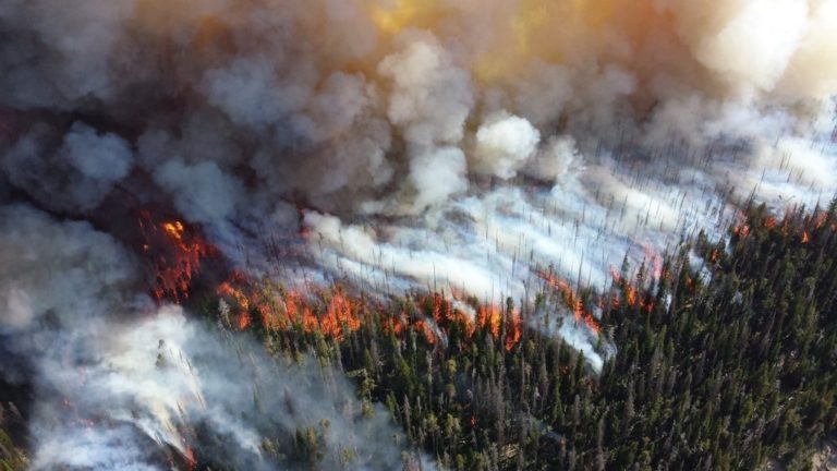 What Causes Wildfires? Understanding Key Risk Factors | Frontline