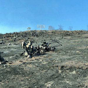 Wildfire Protection for Summer Camps | Frontline