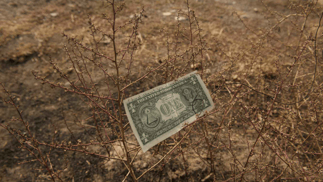 Frontline Wildfire Defense System: Protect Your Home from Wildfires