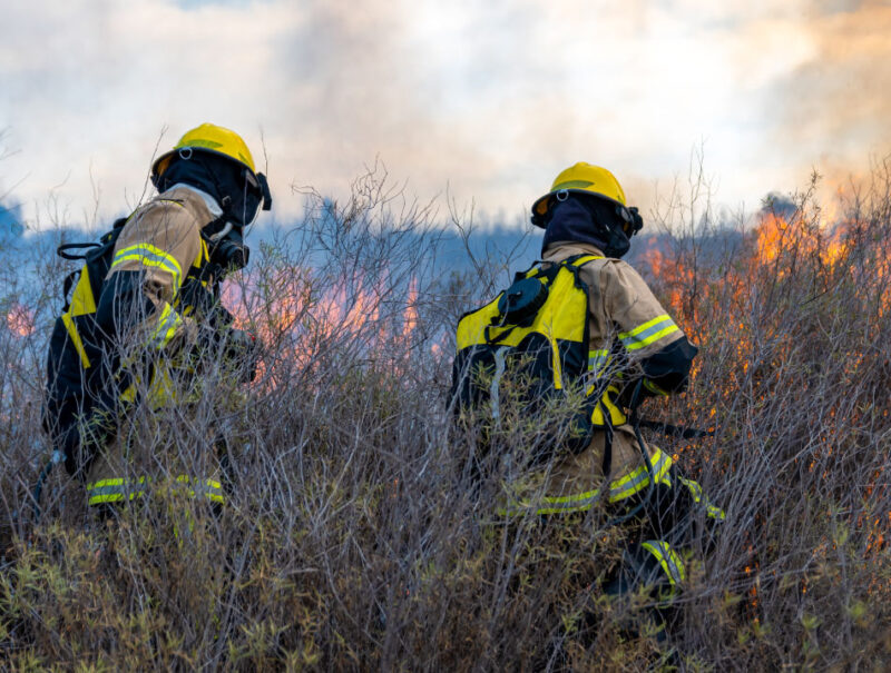 California Wildfires History & Statistics | Frontline Wildfire Defense