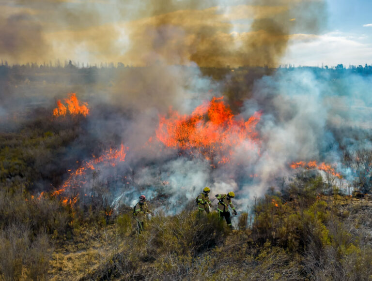 Wildland Urban Interface (WUI) and Wildfire Risks | Frontline