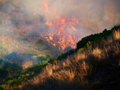 Live Utah Fire Map and Tracker | Frontline