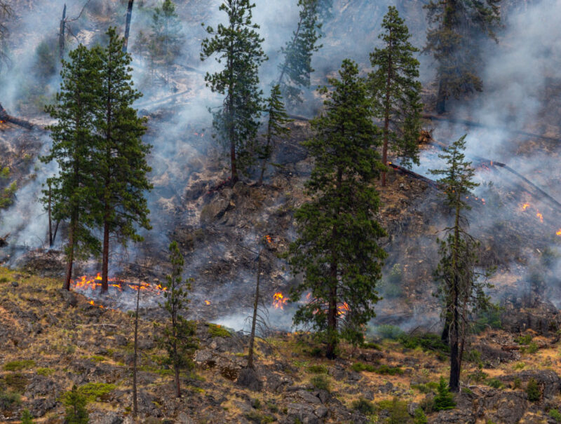 Live Washington Fire Map and Tracker | Frontline